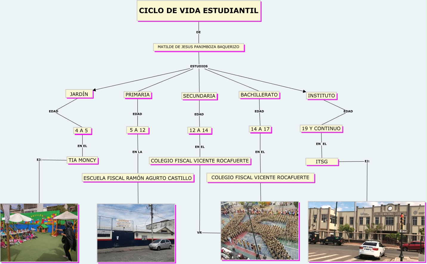 Ciclo de vida estudiantil
